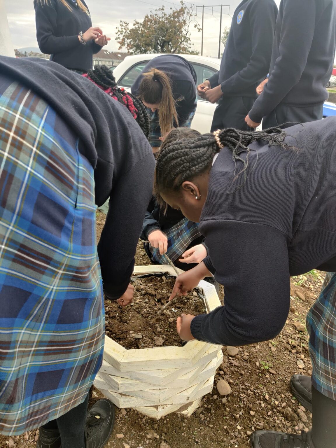 The Crocus Project - New Cross College - Finglas, Dublin 11
